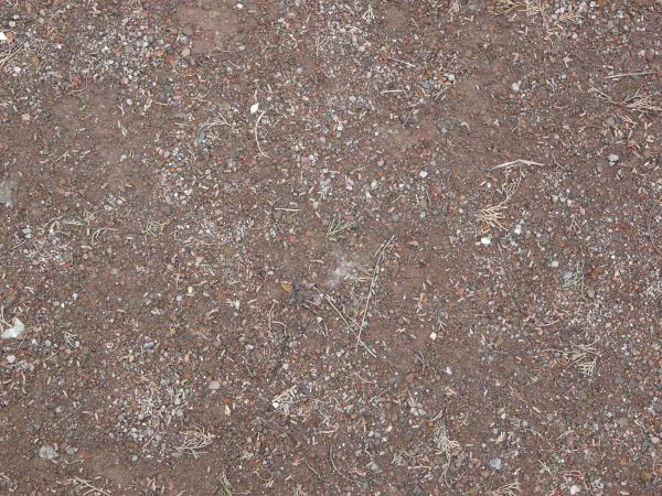 stone ground texture 0071 - Texturelib